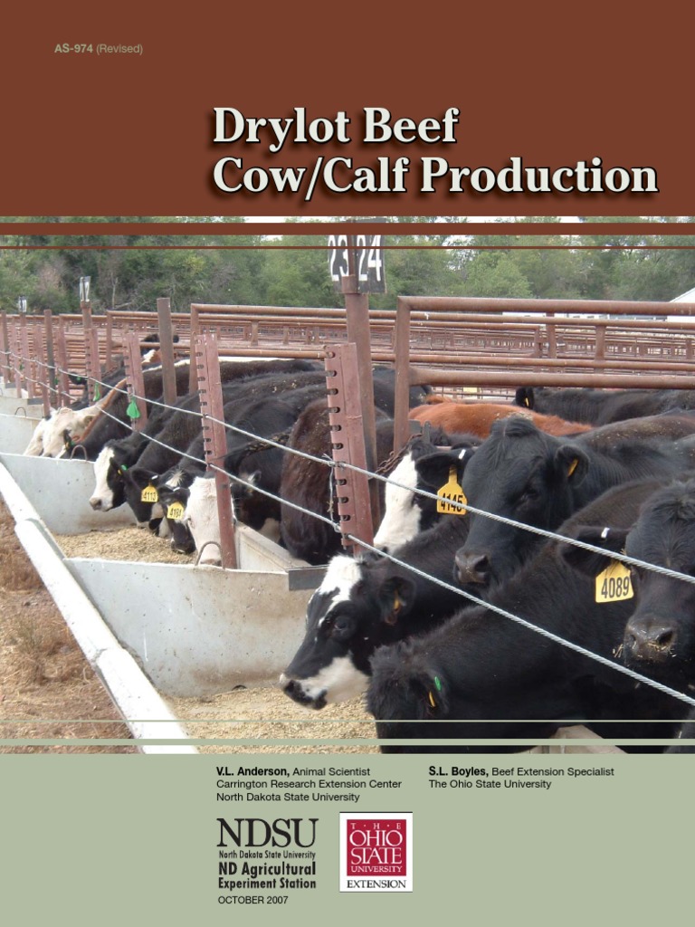 Drylot Beef: Drylot Beef Cow/Calf Production Cow/Calf Production | PDF ...