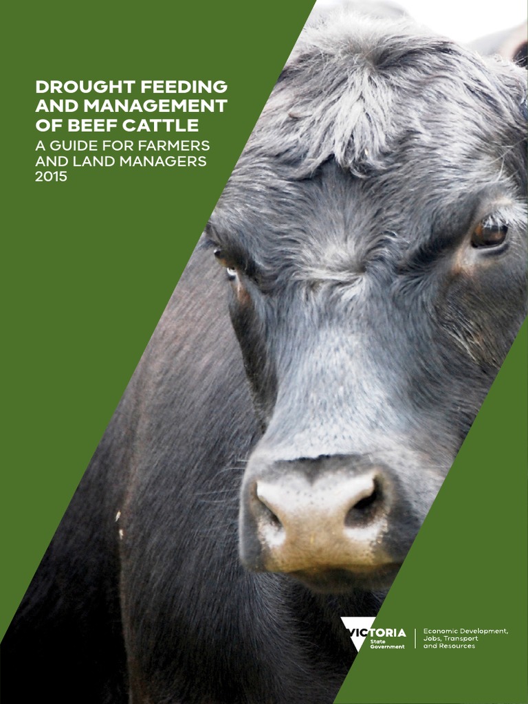 Drought Feeding and Management of Beef Cattle: A Guide For Farmers and ...