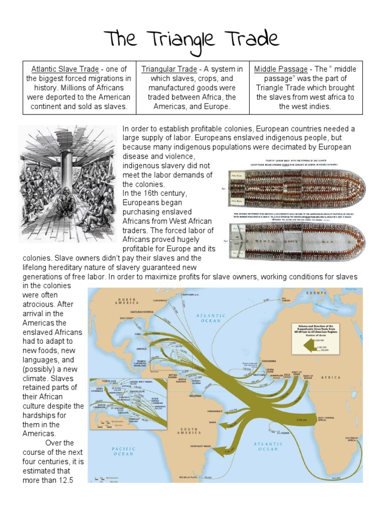 The Triangle Trade Reading | PDF | Atlantic Slave Trade | Slavery