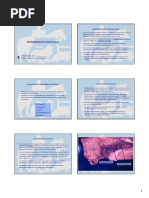Características del exudado purulento | PDF | Infección | Medicina CLINICA