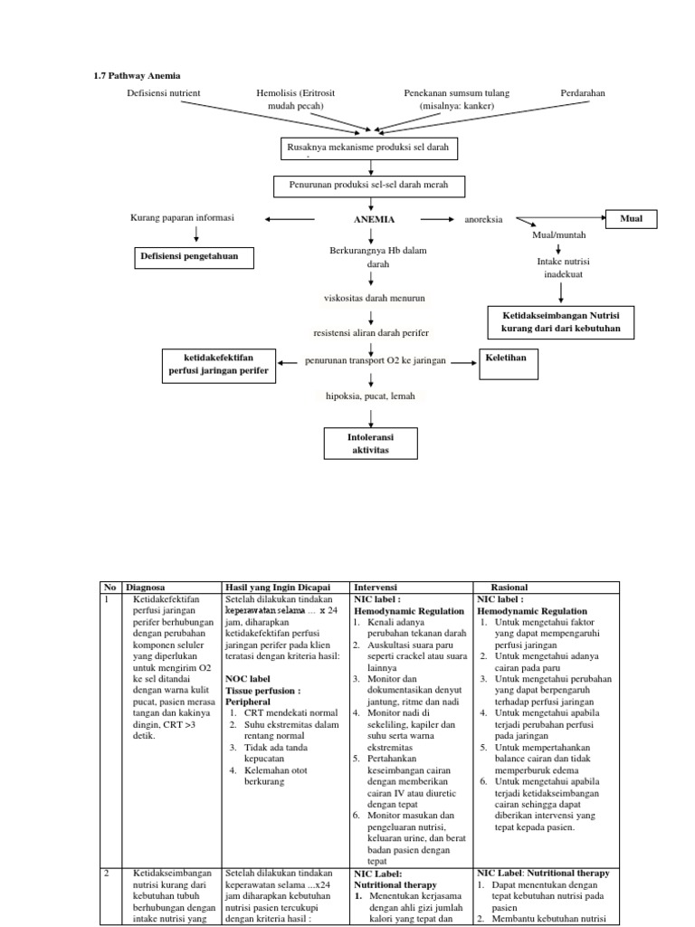 ANEMIA PATHWAY | PDF