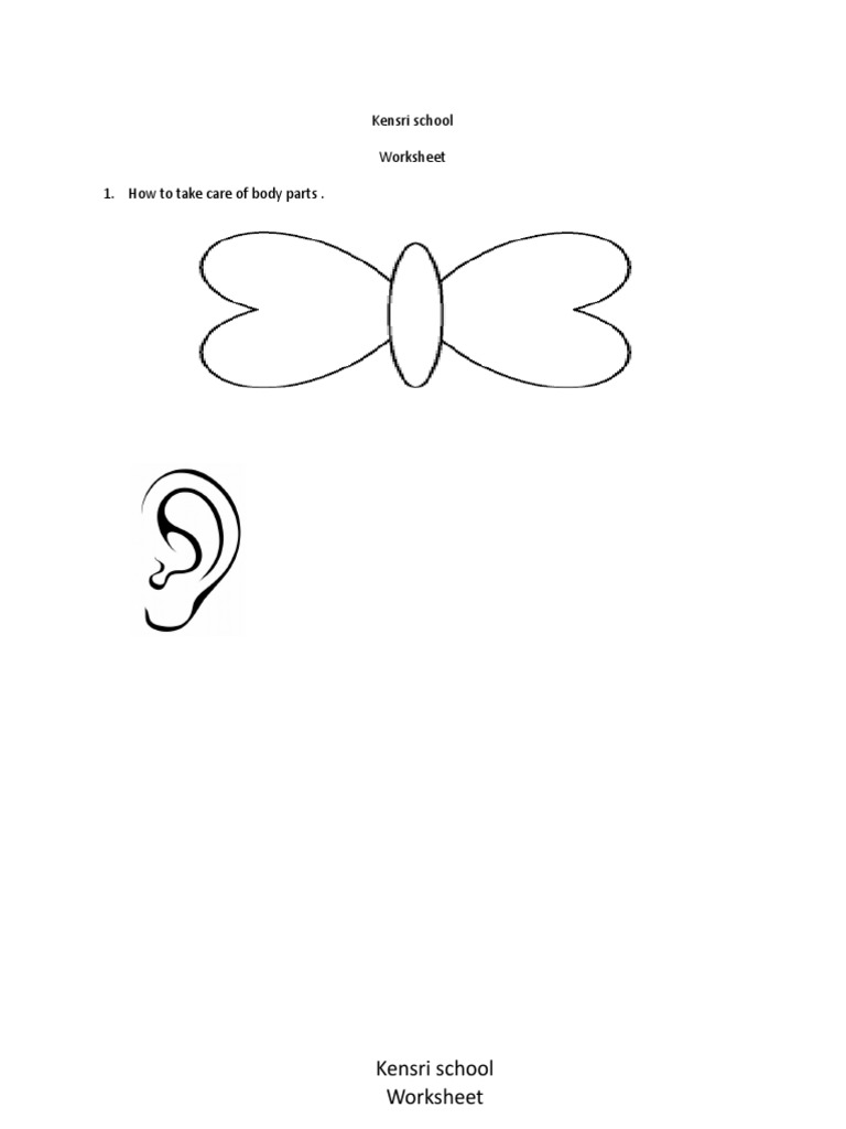 Body Parts Care Worksheet | PDF