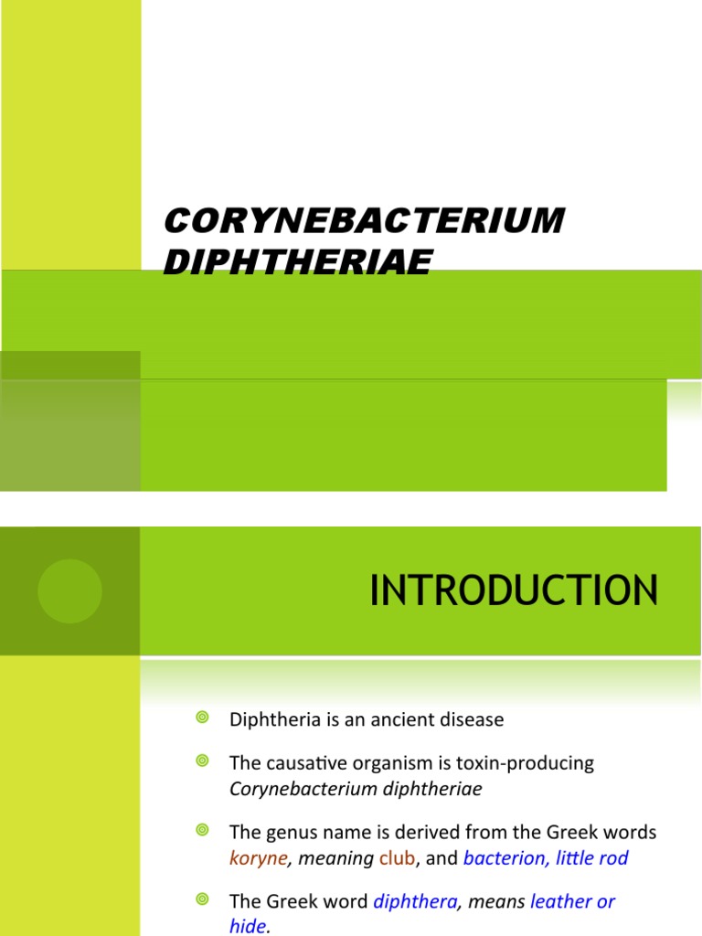 Corynebacterium diphtheriae