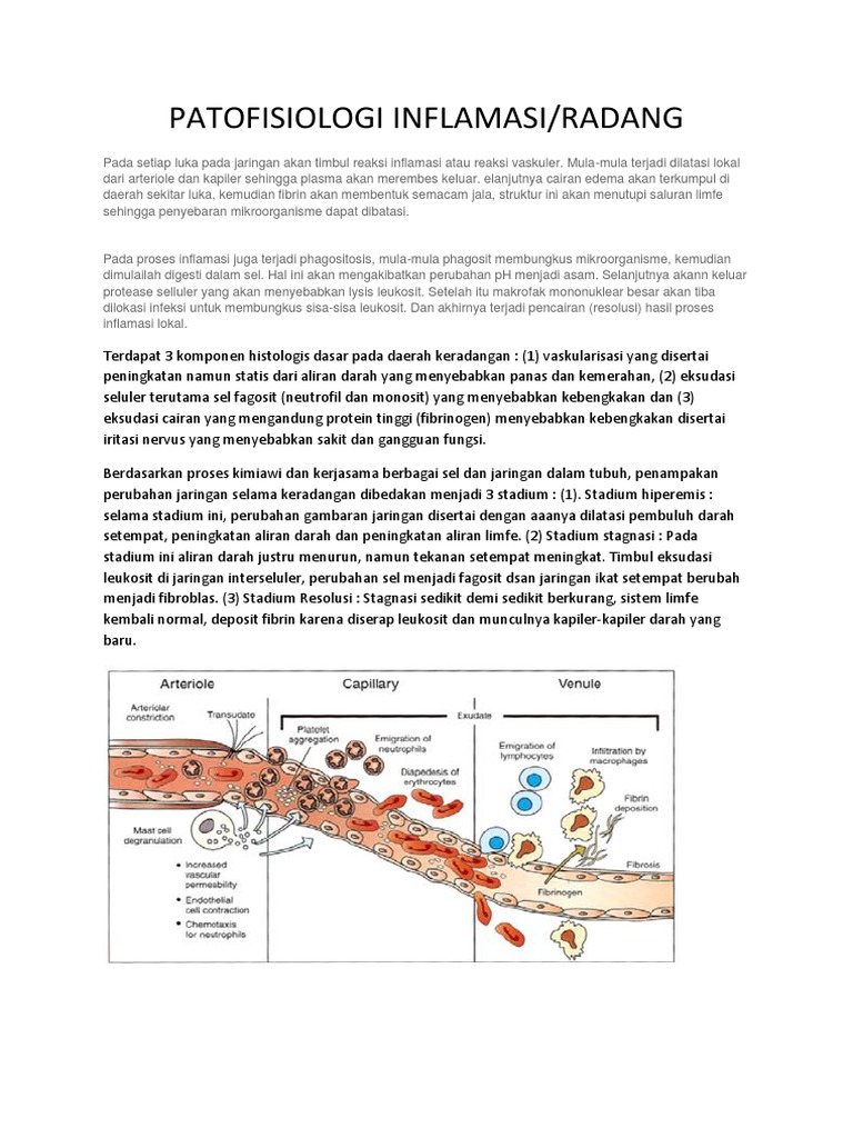 Patofisiologi Proses Inflamasi | PDF