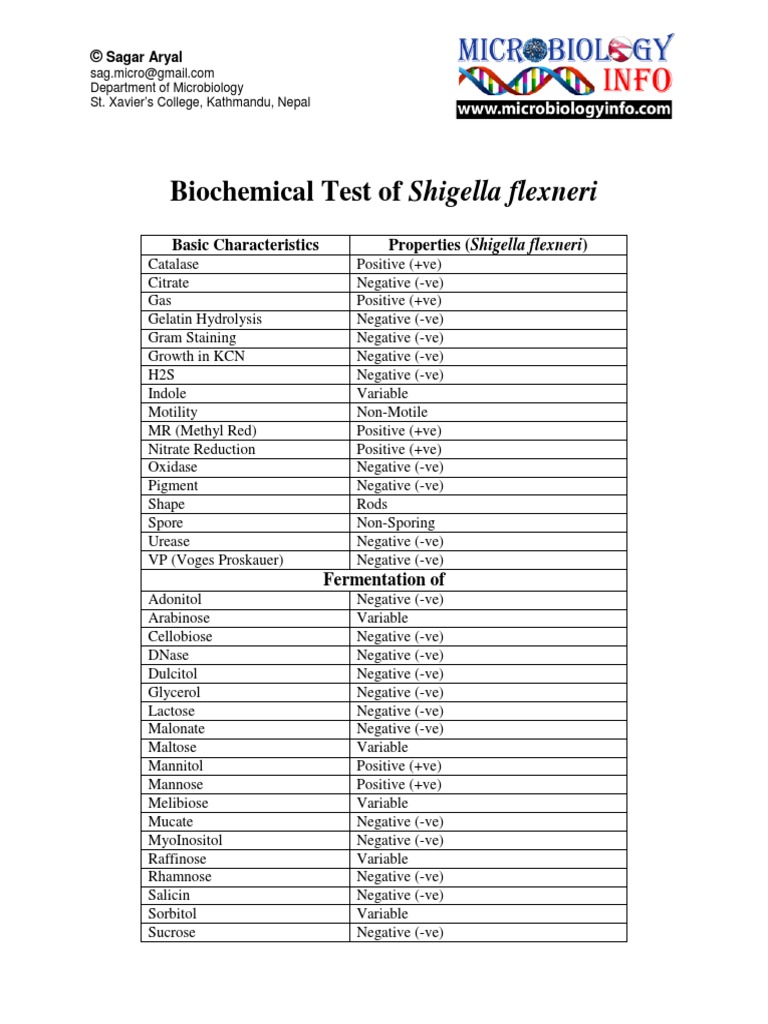 13.-Biochemical-Test-and-Identification-of-Shigella-flexneri.pdf | Nature