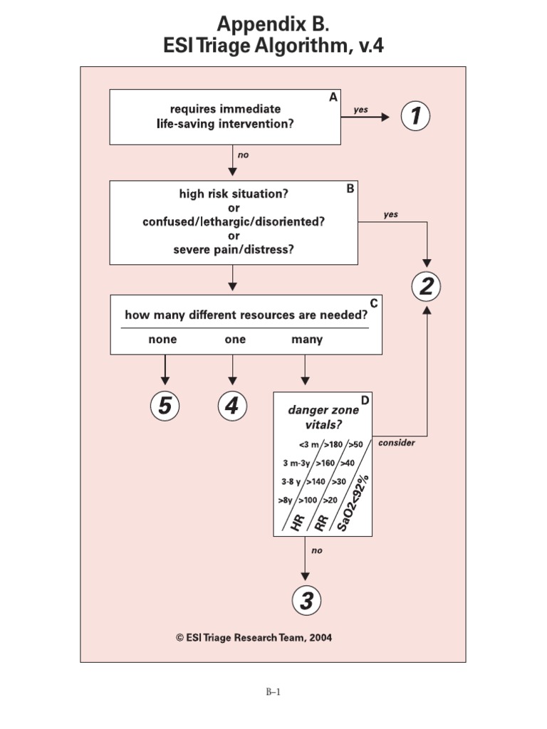 Appendix B. ESI Triage Algorithm, v.4 | PDF | Pain | Diseases And Disorders Appendix B. ESI Triage Algorithm, v.4 | PDF | Pain | Diseases And Disorders