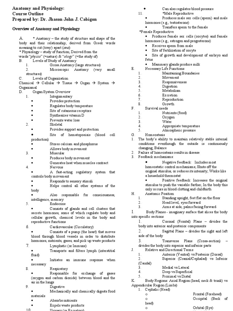 Outline Of Anatomy And Physiology Prelim Midterm Epithelium Skin 