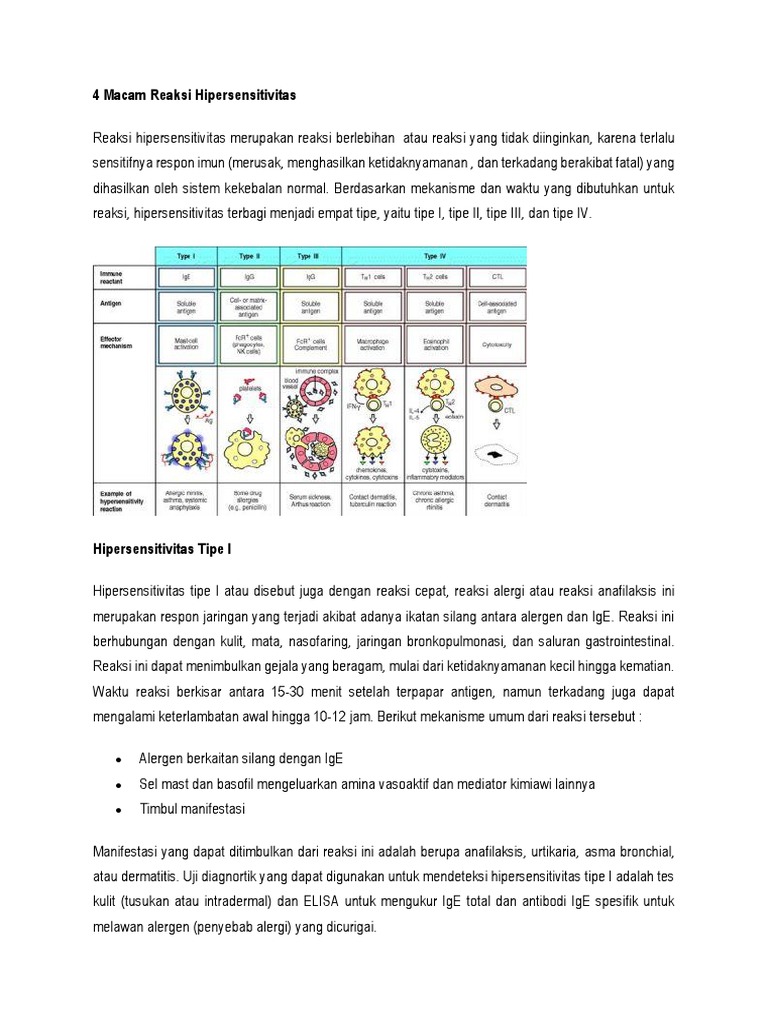 4 Macam Reaksi Hipersensitivitas | PDF