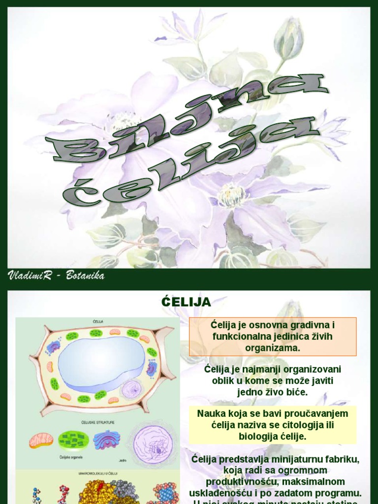 02-Gradja celije.pdf