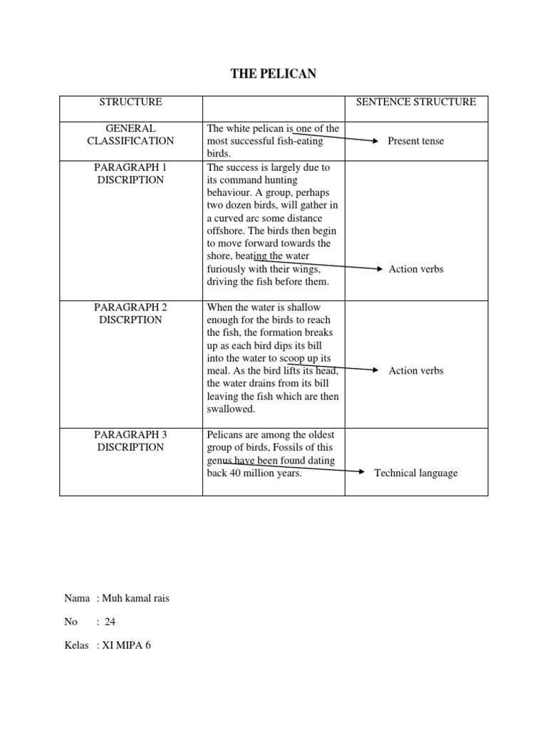 Structure Pdf