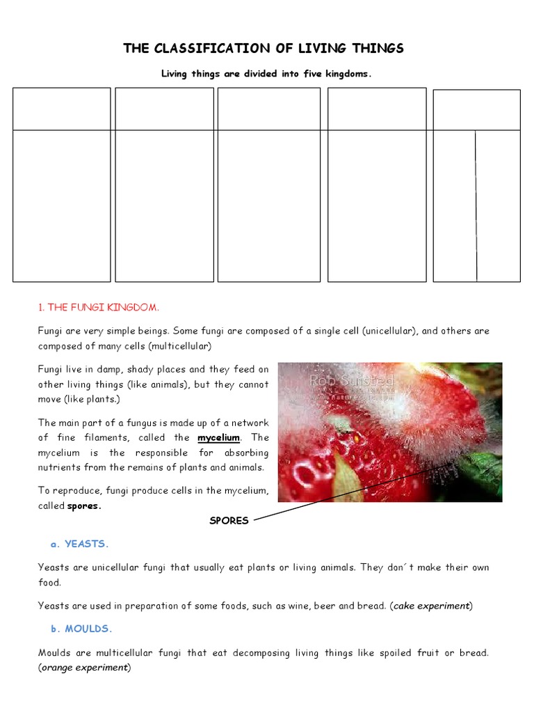 The Classification of Living Things | PDF | Fungus | Plants