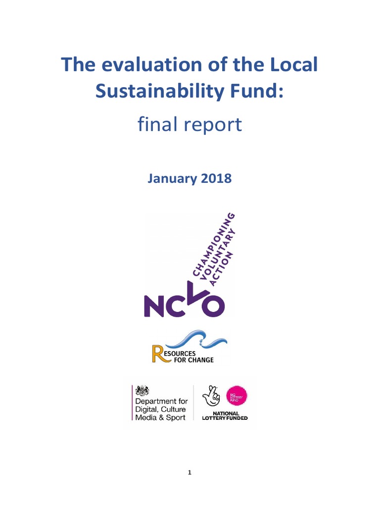 LSF Project: Final Report | PDF | Case Study | Evaluation