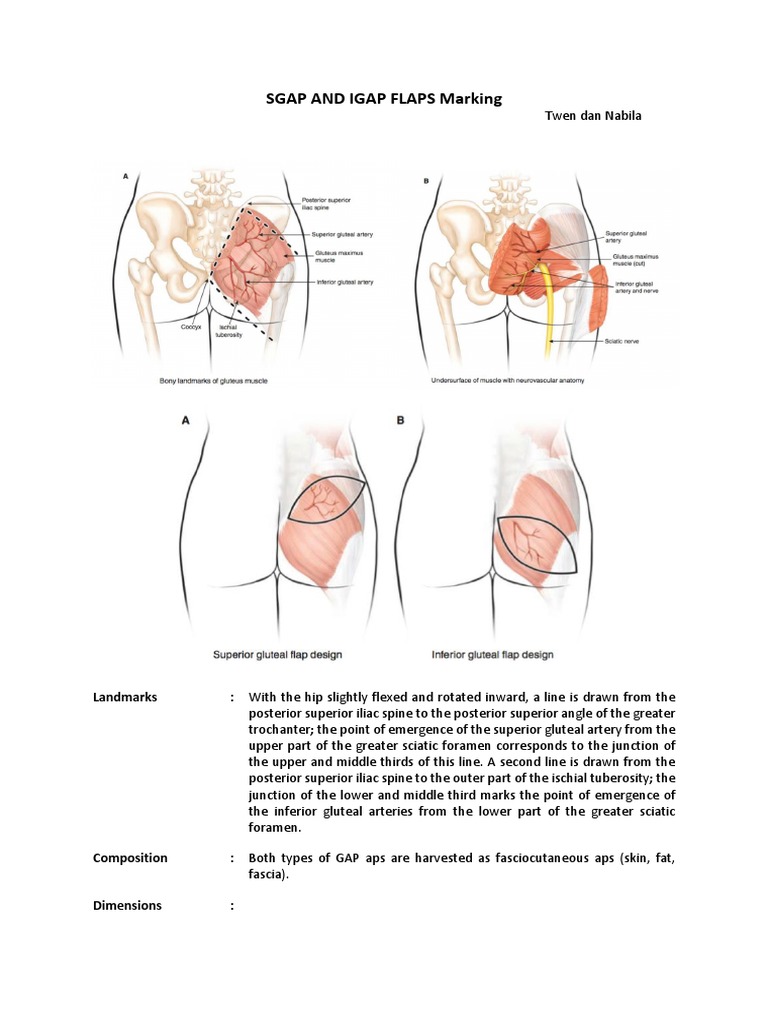 Sgap And Igap Flaps Marking Pdf Pelvis Buttocks