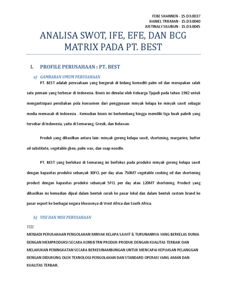 Analisa Swot Ife Efe BCG Matrix | PDF