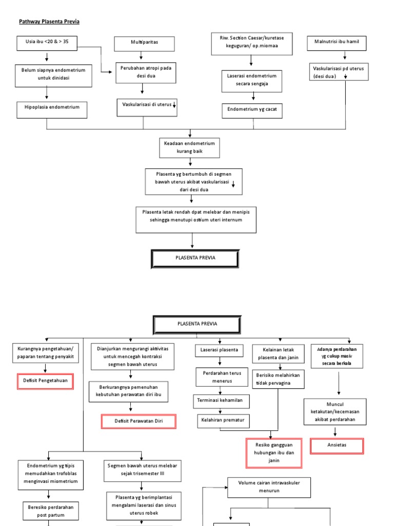 Pathway | PDF
