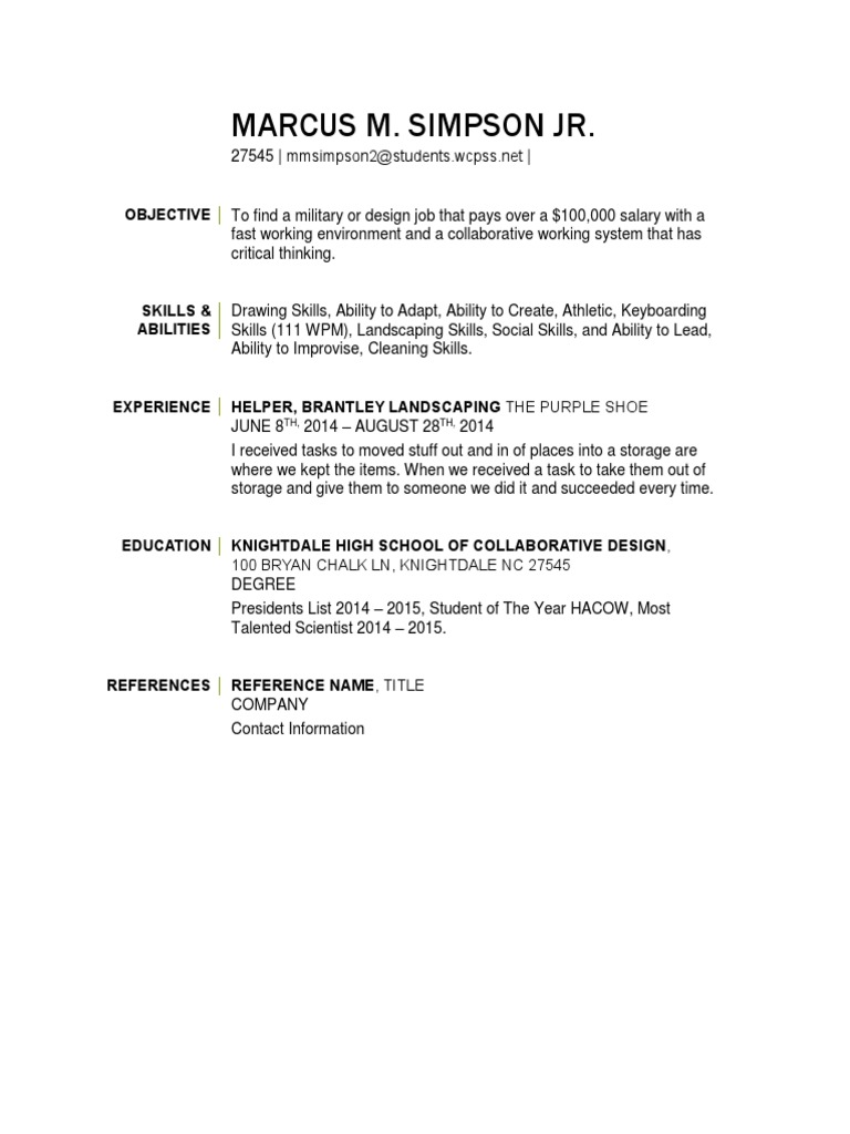 Marcus M Resume | PDF | Art | Self-Improvement