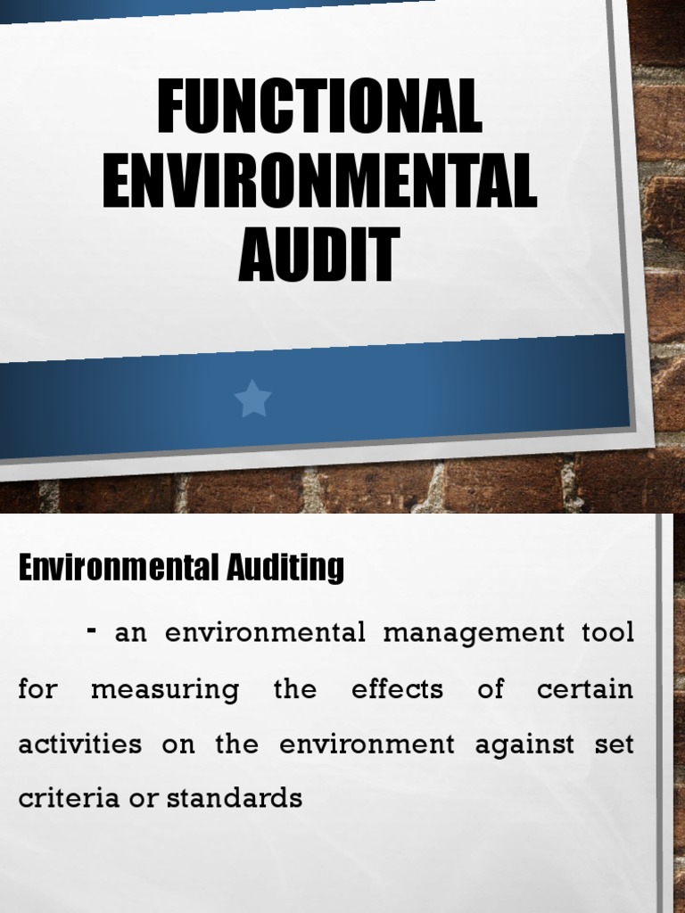 Functional Environmental Audit | PDF