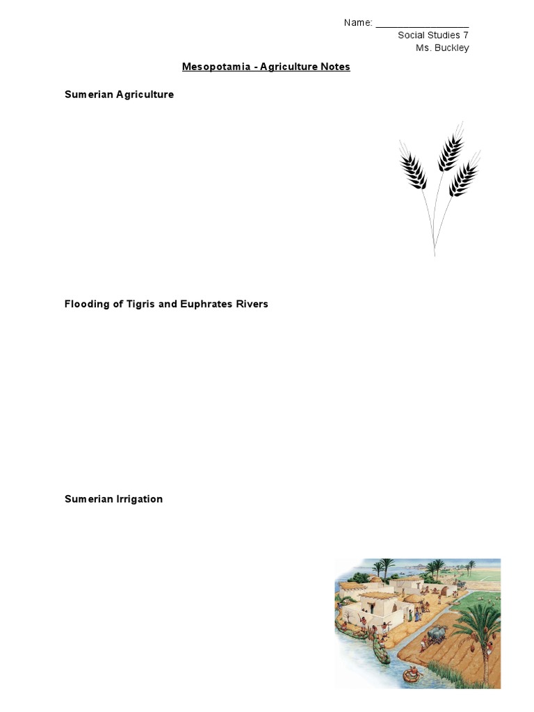 Mesopotamia - Agriculture Note Taking | PDF