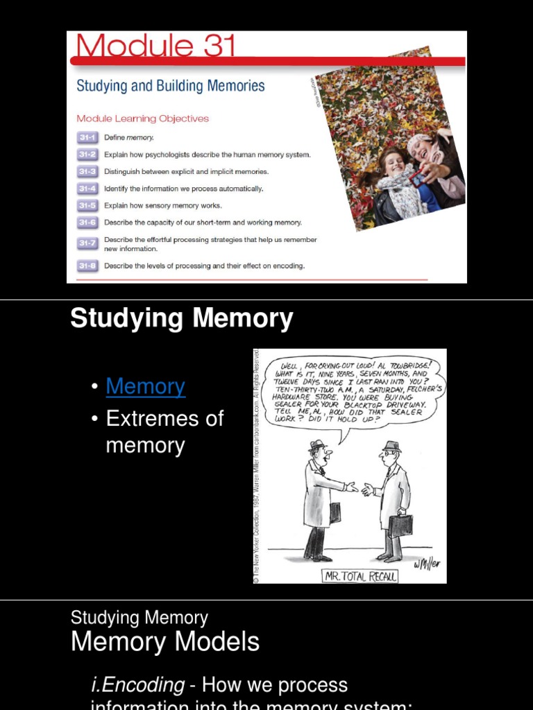 Unit 7 Module 31 Studying and Building Memories Powerpoint | PDF | Memory | Recall (Memory)