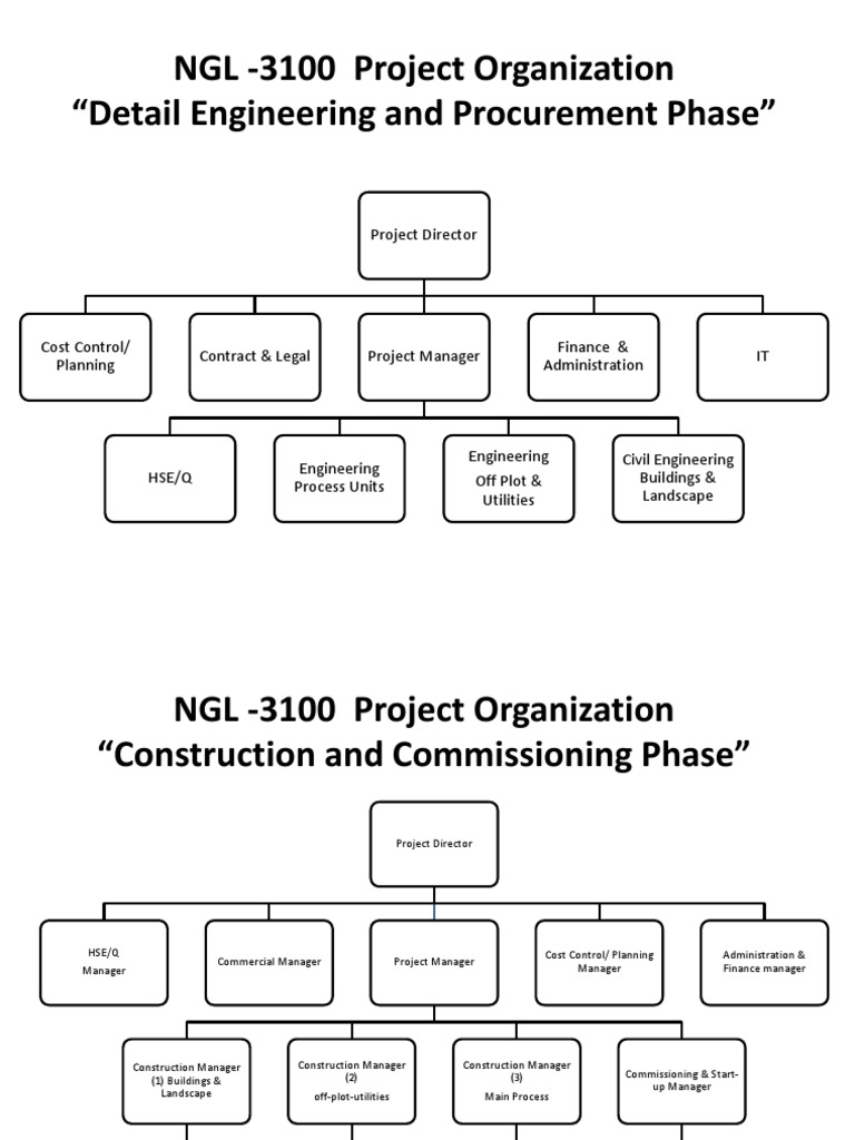 NGL - 3100 Project Organization "Detail Engineering and Procurement ...