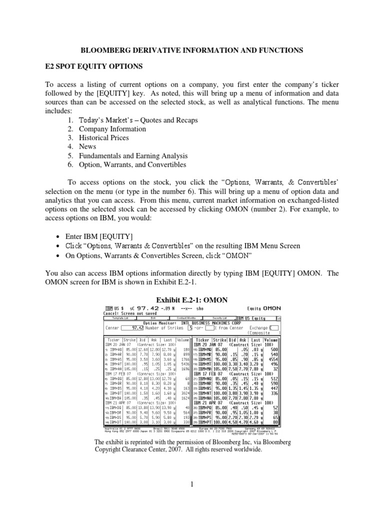 Bloomberg Derivative Information and Functions E2 Spot Equity Options ...
