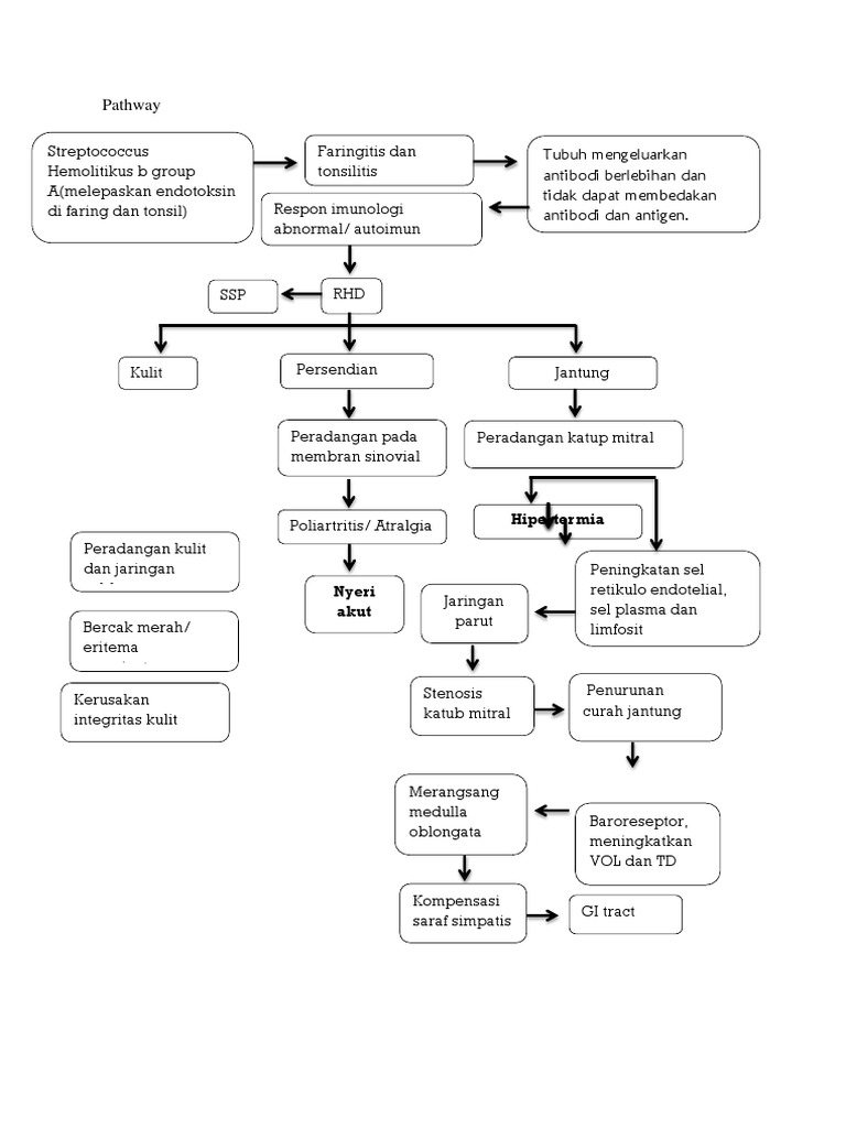 Pathway RHD | PDF
