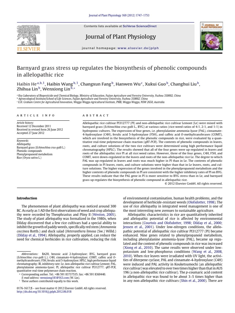 Barnyard Grass Stress Up Regulates The Biosynthesis of Phenolic ...