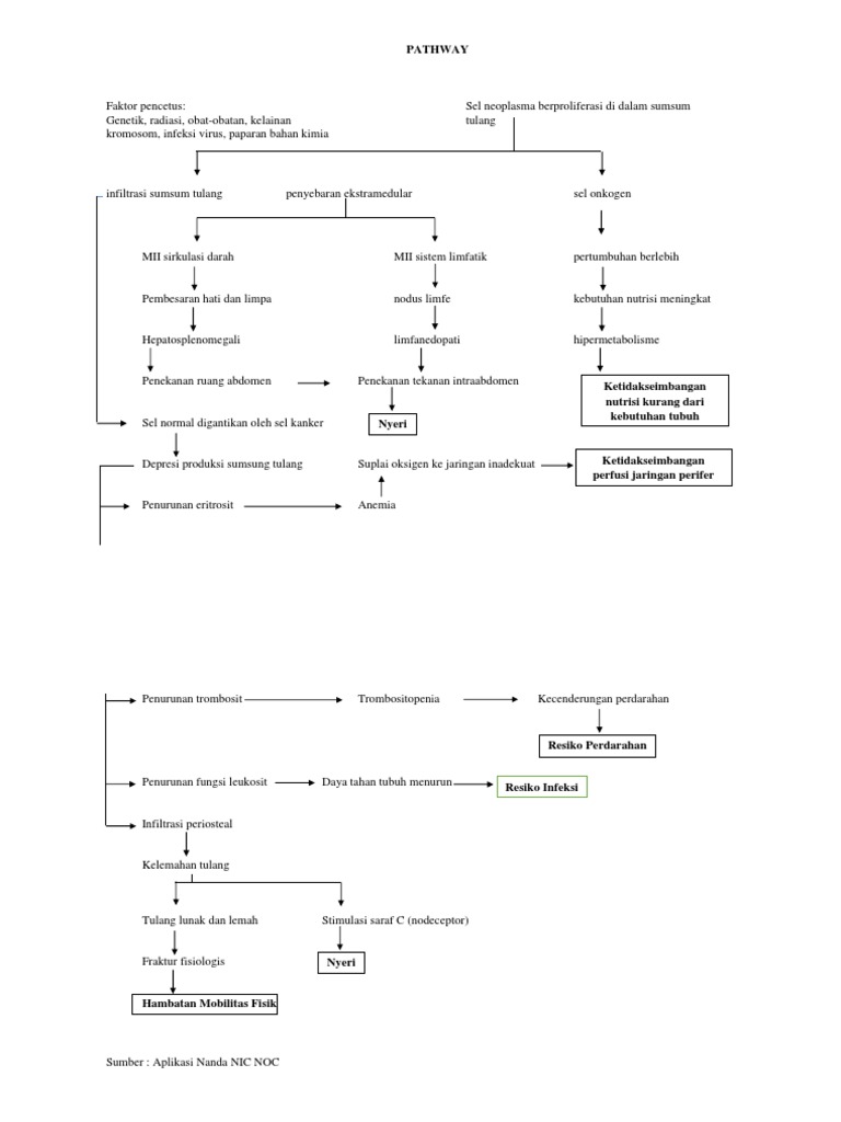 Patofisiologi Dan Pathway-Word | PDF