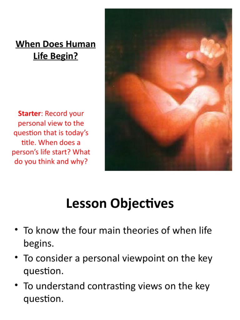 When Does Human Life Begin?: Starter: Record Your | PDF | Fetus ...