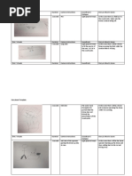 Hourly Production Monitoring Report | PDF | Battles | Military Operations