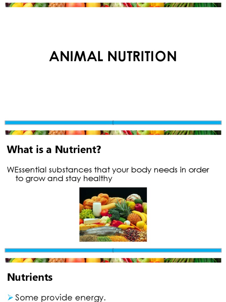 Animal Nutrition | PDF | Animal Nutrition | Nutrition