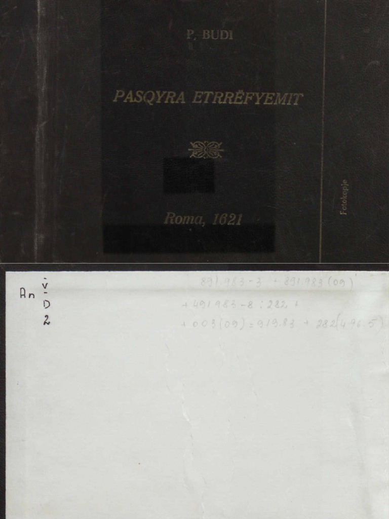 Pasechyra e Te Rrefyerit Budi | PDF