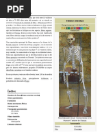 El Alfabeto Ugarítico PDF | PDF | Antiguo Cercano Oriente | Religiones ...