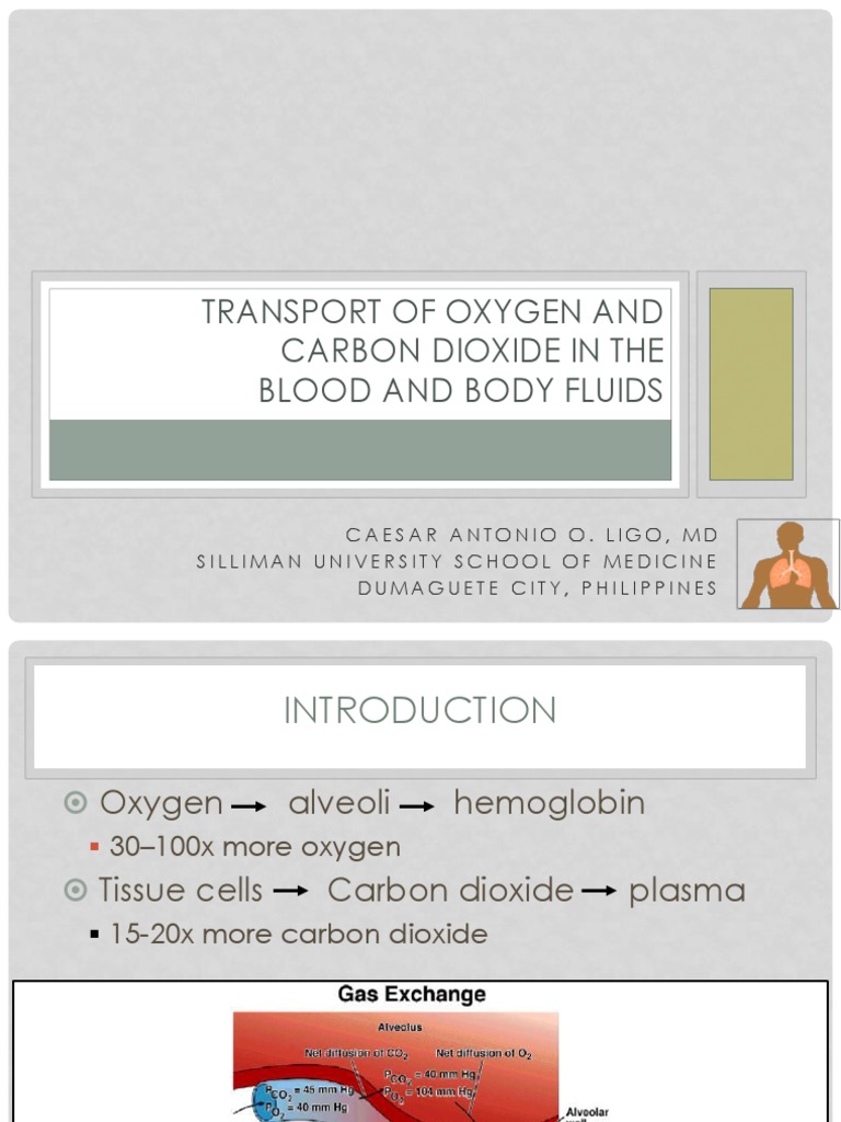 Pulmo Physio-Transport 2 | PDF | Blood | Hemoglobin