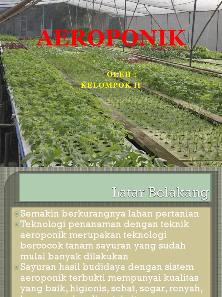 Sistem Pertanian Aeroponik | PDF