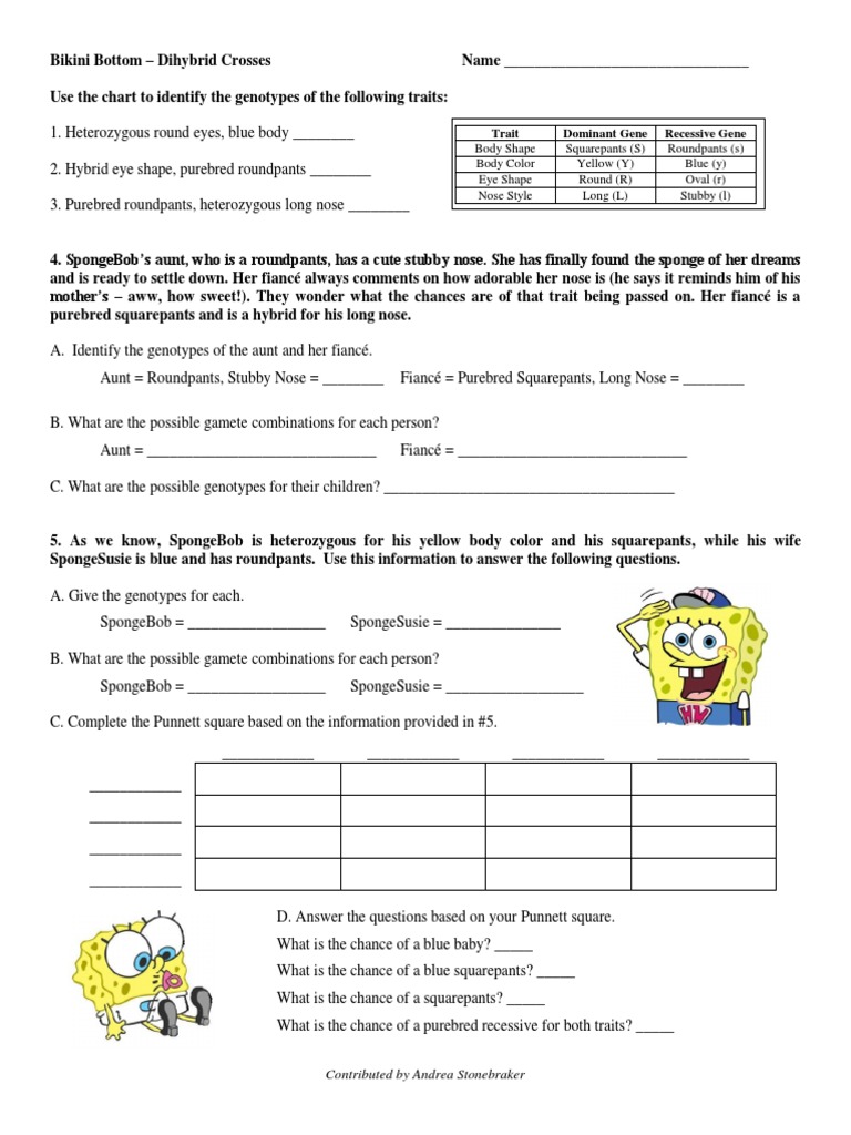 Dihybrid Cross Worksheets | PDF | Dominance (Genetics) | Genetics