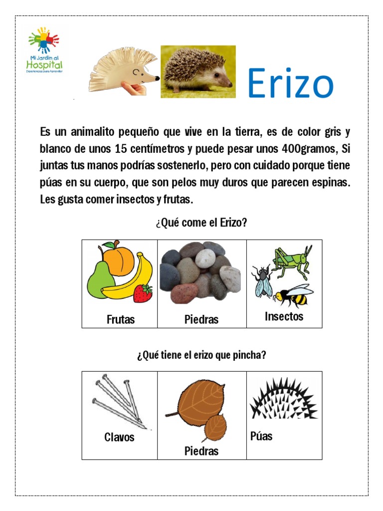 Motricidad Fina, Erizo Ficha y Cuento | PDF