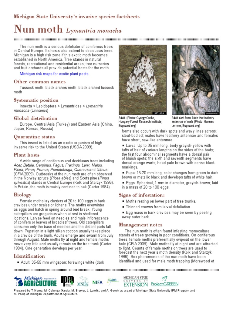 Nun Moth | PDF | Lepidoptera | Insects