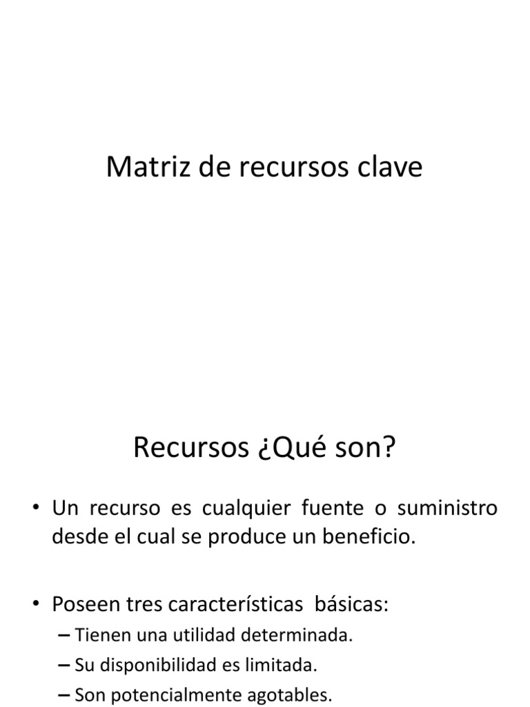 Matriz Recursos Clave | PDF | Economias | Business