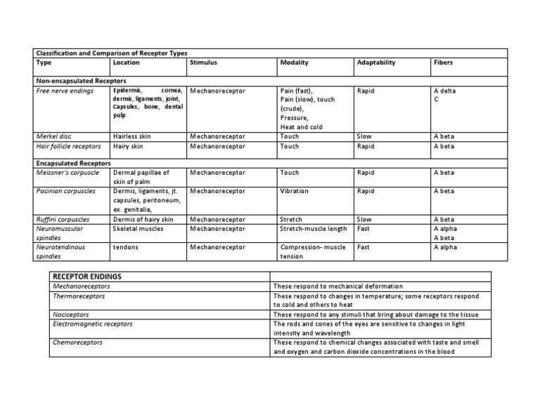 Classification and Comparison of Receptor Types | PDF | Senses ...
