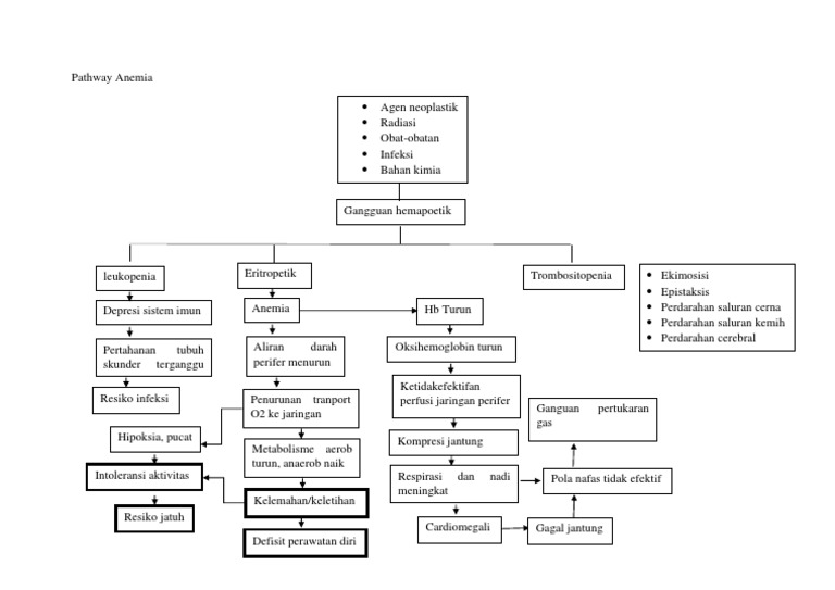 Pathway Anemia | PDF