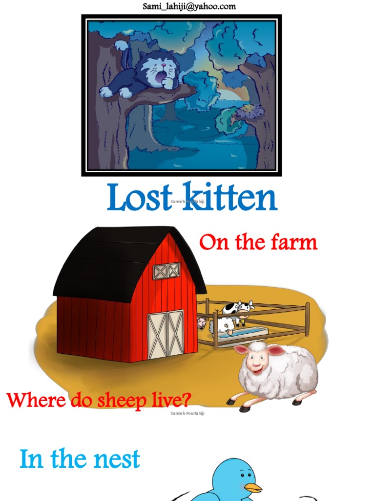 Lost Kitten Storybook for Kids | PDF