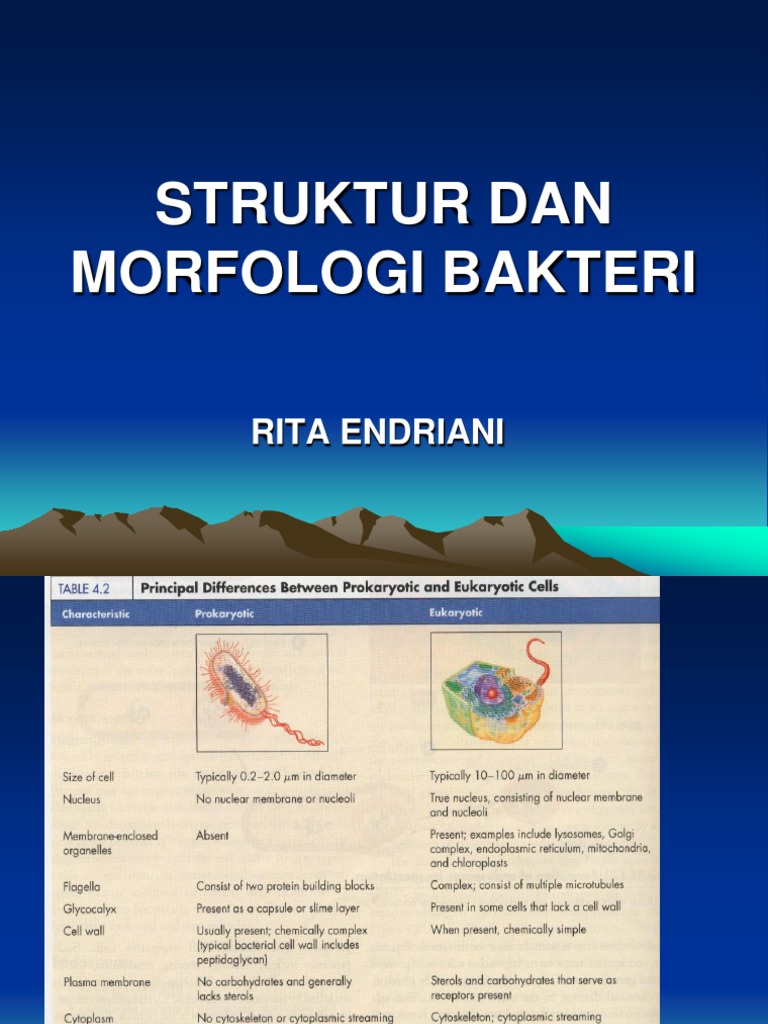 Struktur Dan Morfologi Bakteri | PDF