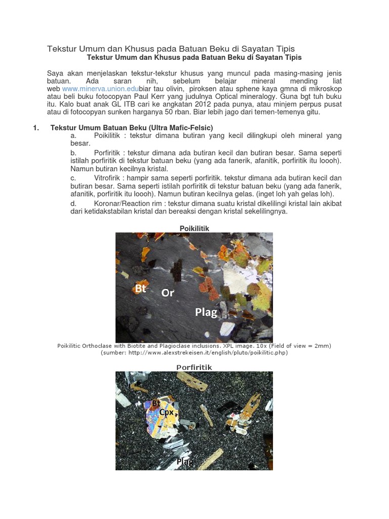 Tekstur Umum Dan Khusus Pada Batuan Beku Di Sayatan Tipis | PDF