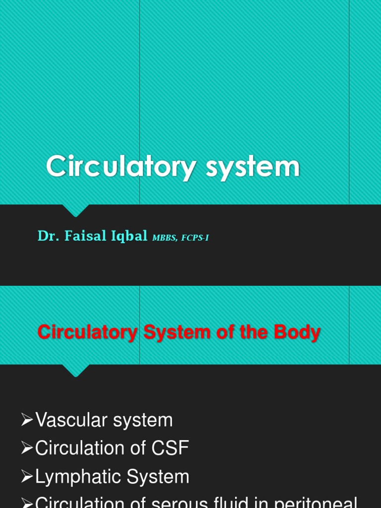 ANGIOLOGY | PDF | Circulatory System | Artery
