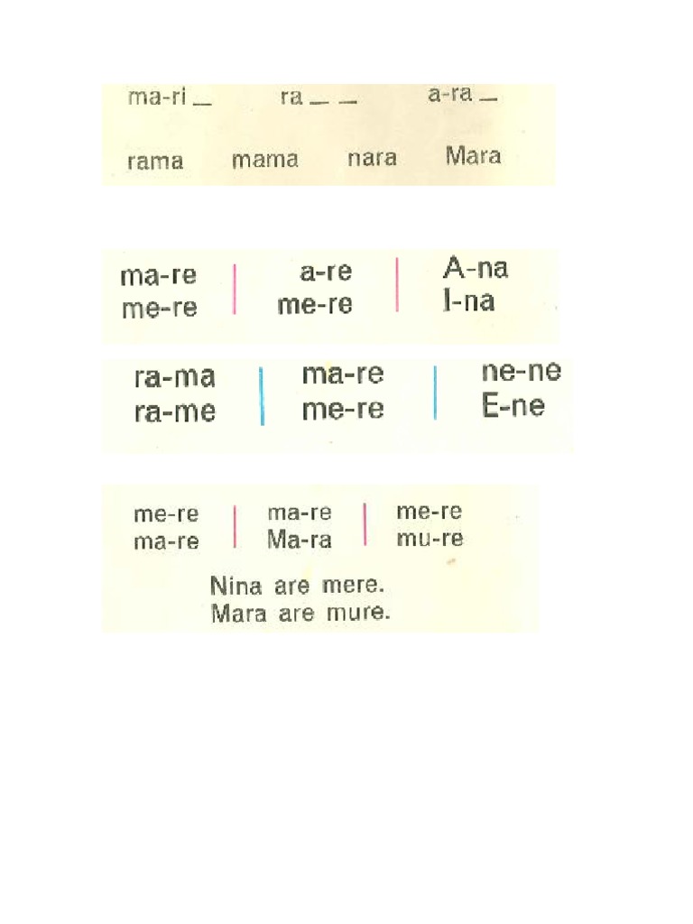Fise de Lucru Cuvinte Pe Silabe | PDF