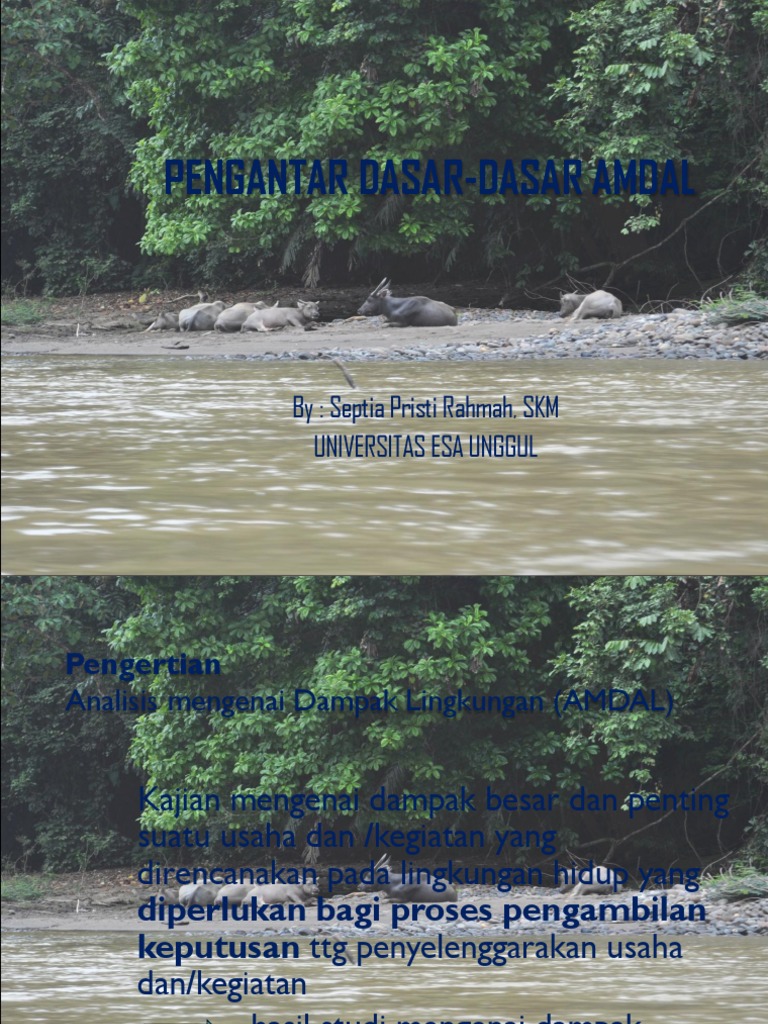 Pengantar Dasar-Dasar Amdal | PDF