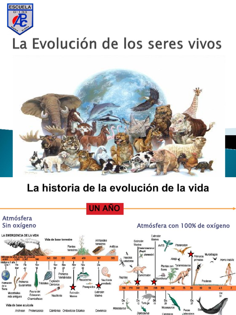 30183487-La-Evolucion-de-los-seres-vivos.ppt | Ciencias de la tierra y ...