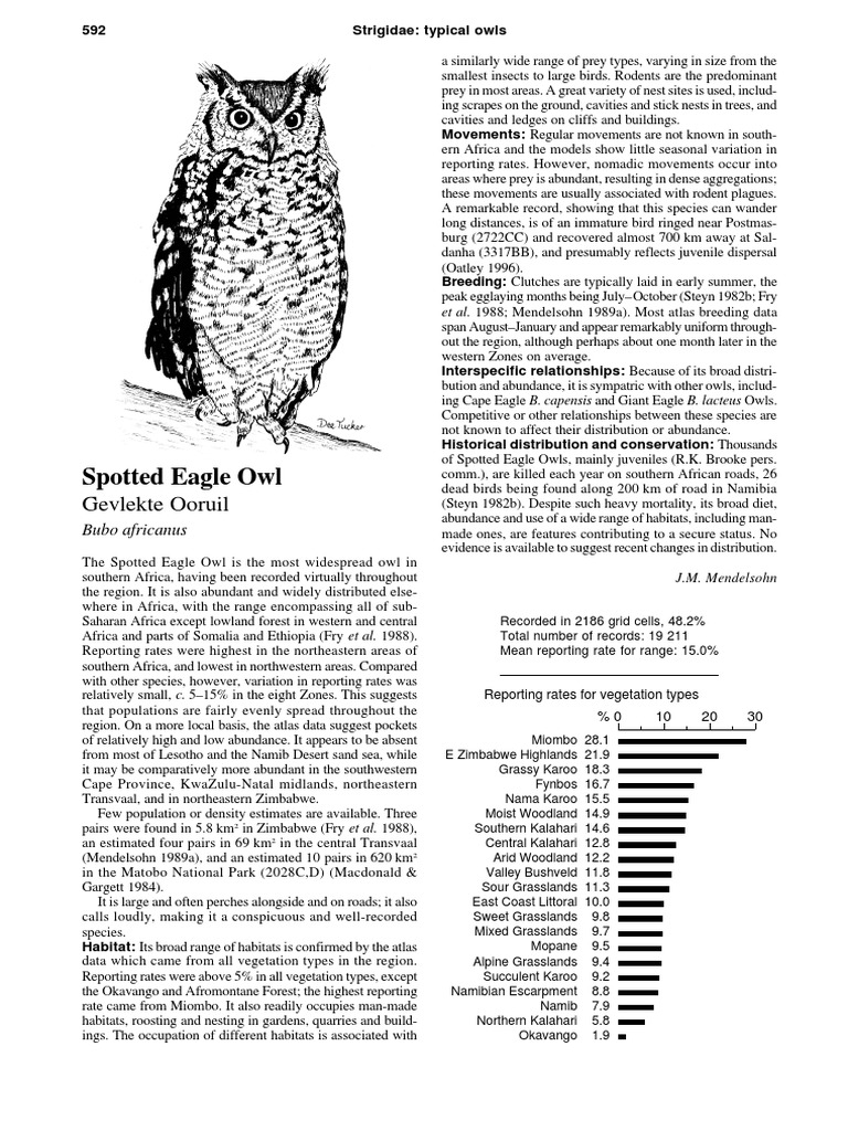 Spotted Eagle Owl: Gevlekte Ooruil | PDF | Eagle | Africa