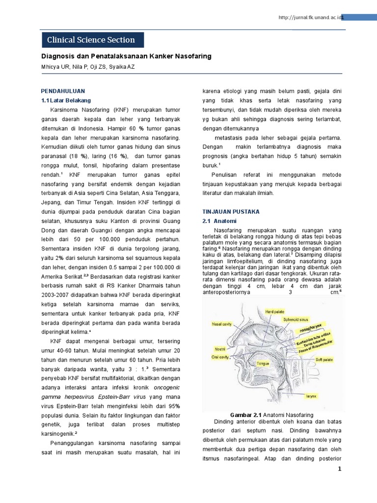 CRS CA Nasofaring Mici Nila Oji Syaika | PDF | Sains & Matematika